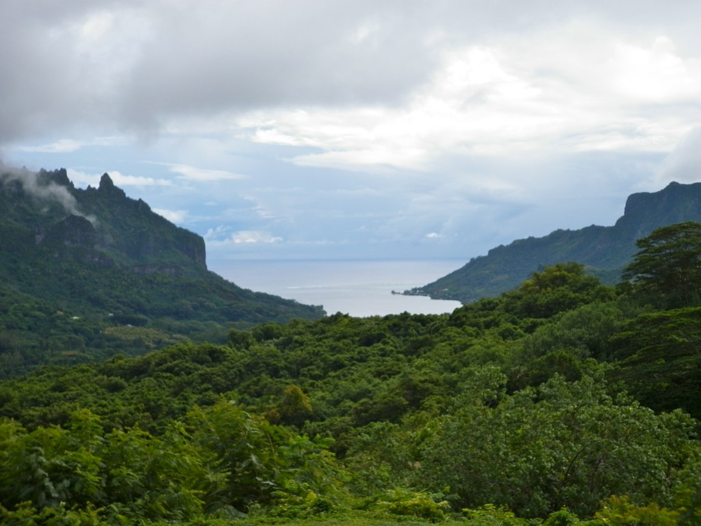 Moorea