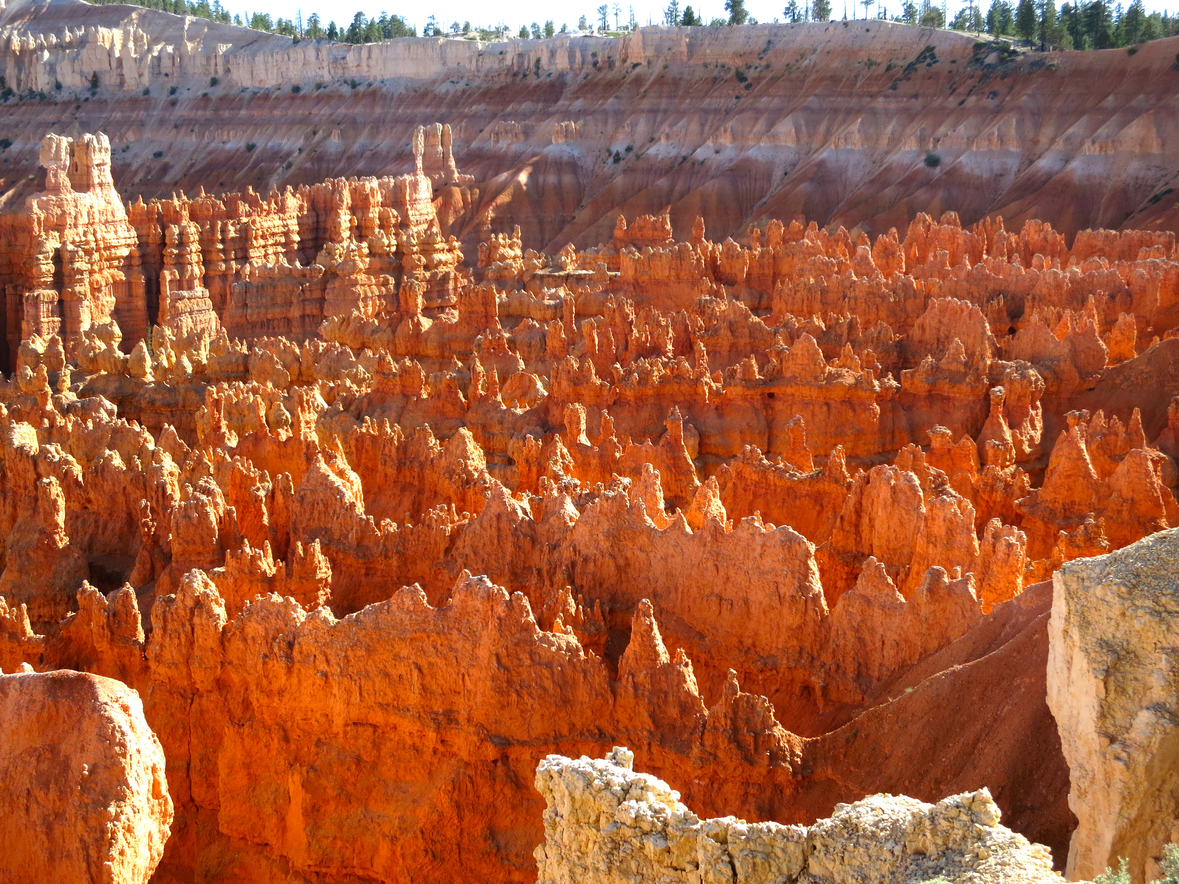 Bryce Canyon National Park - Lee Abbamonte