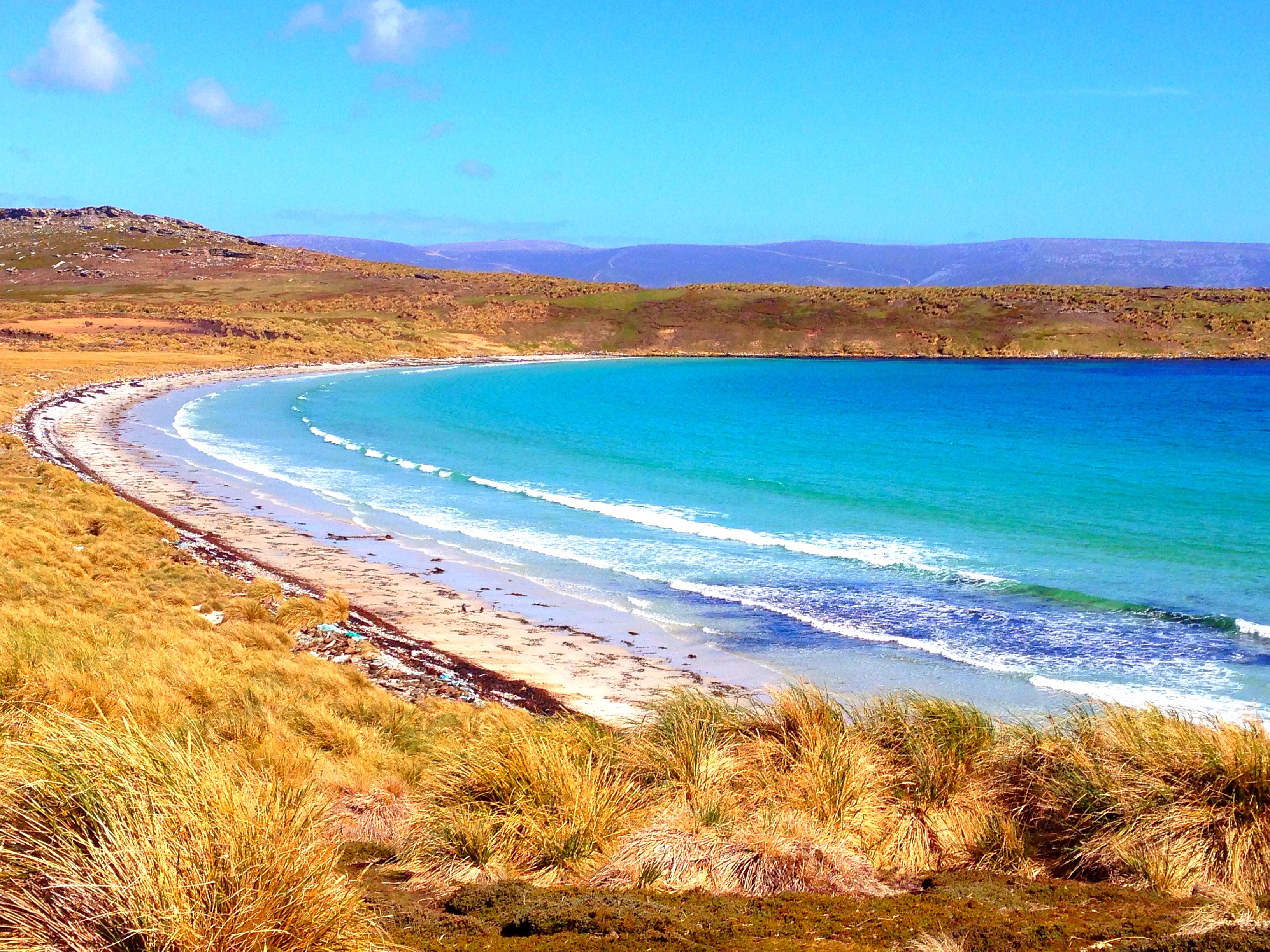 Carcass Island, Falkland Islands