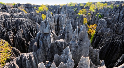 100 Miles of Wild: Madagascar's Limestone Labyrinth