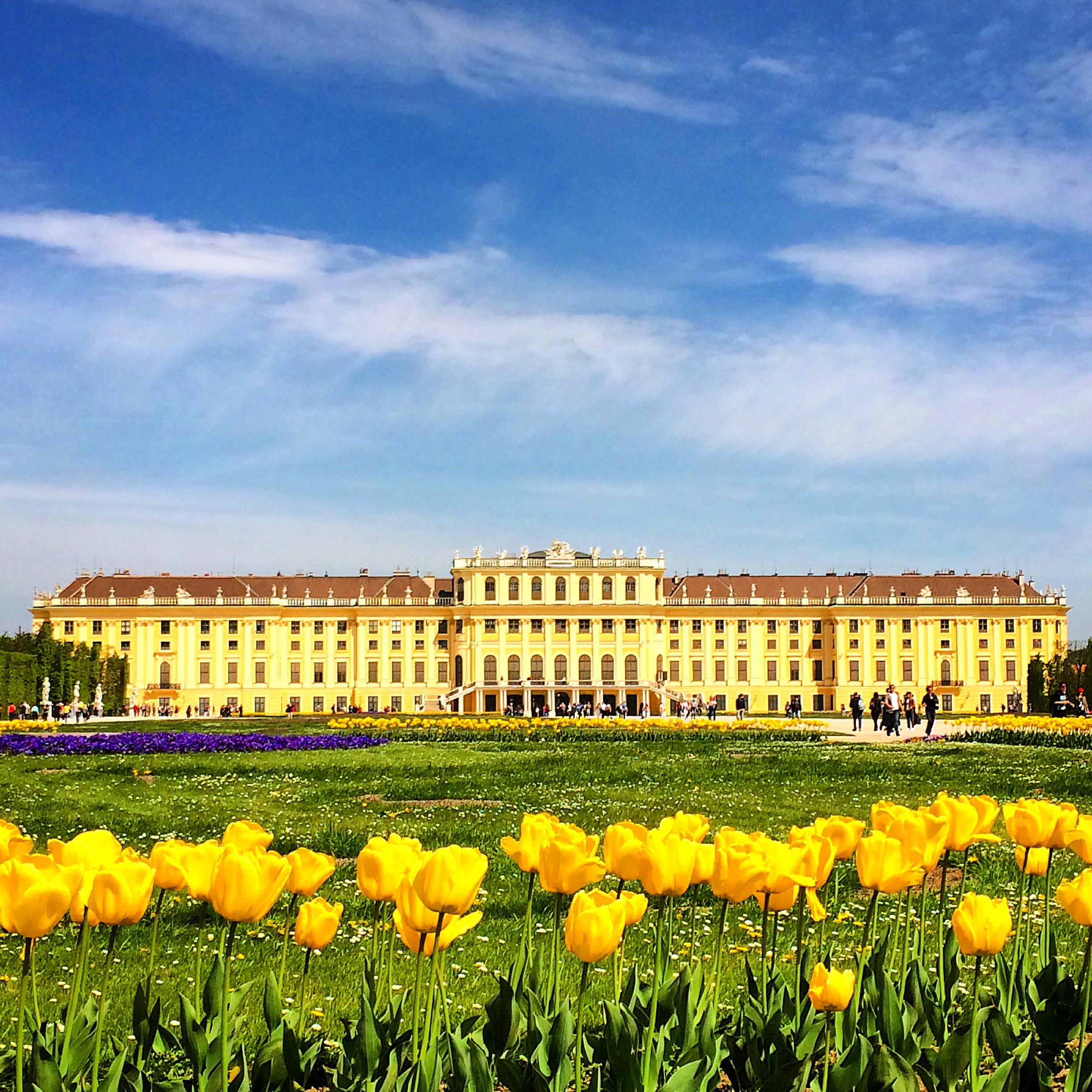 5 Awesome Things to do in Vienna, Austria