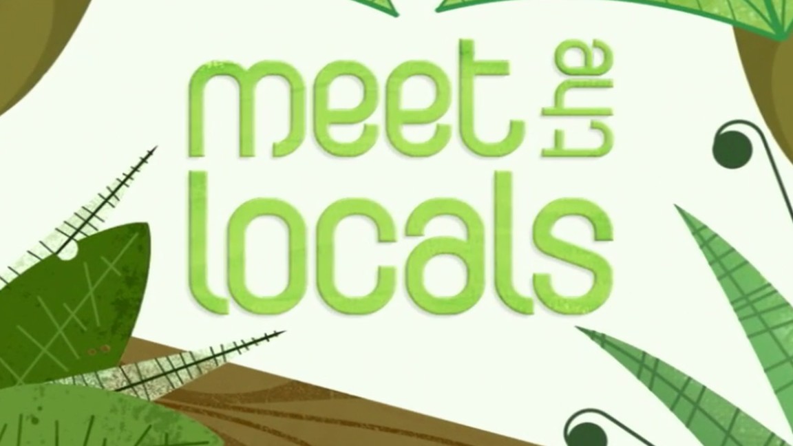 The Fallacy of Interacting with Locals